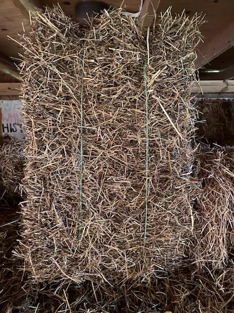 HAY, Compost/Mulch Square Bales | LoganBerry Heritage Farm On-Line Market